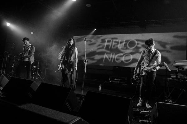 Hello Nico - 快懂百科