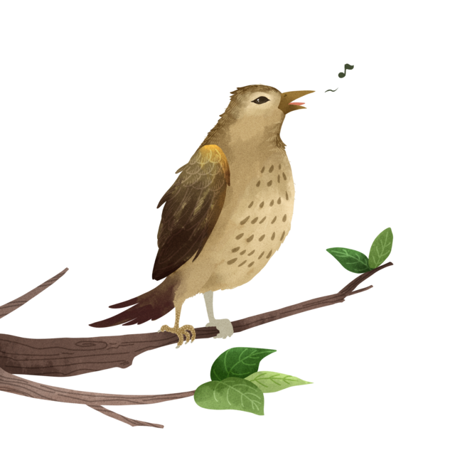 夜莺 - 快懂百科