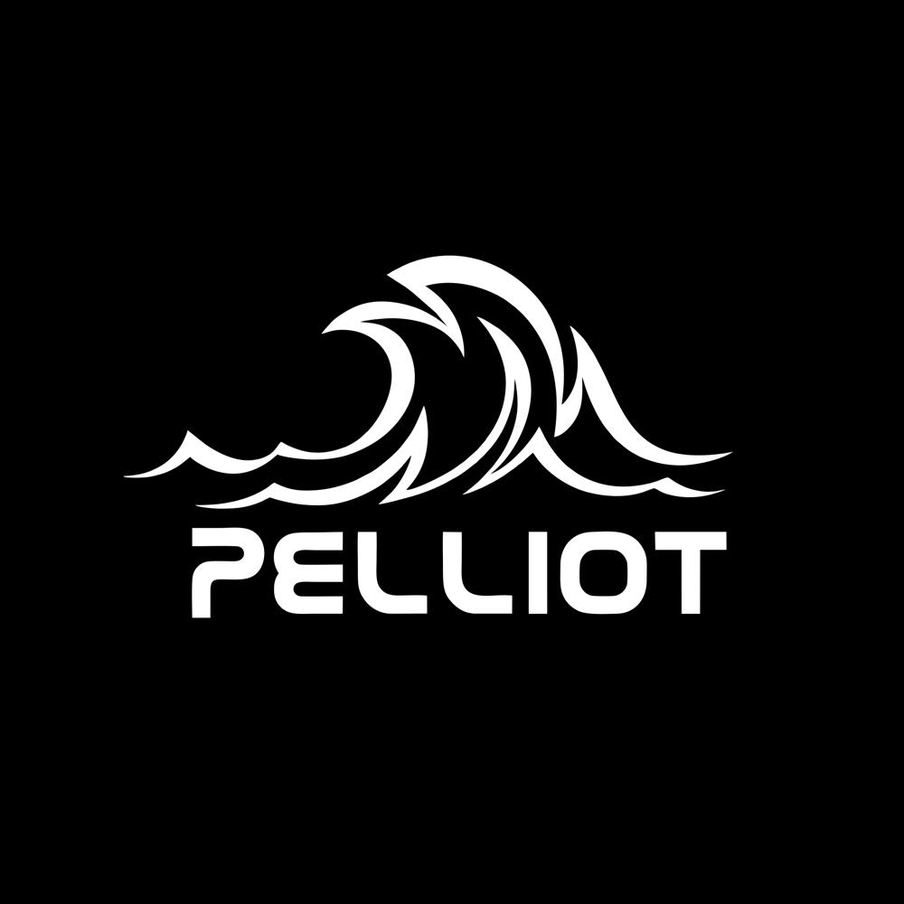 伯希和 - 快懂百科