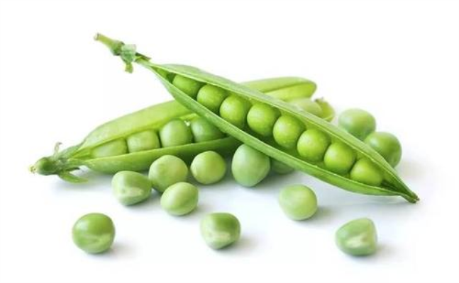 豌豆 - 快懂百科