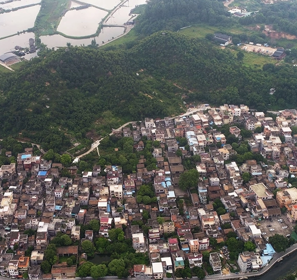 大岭村 快懂百科