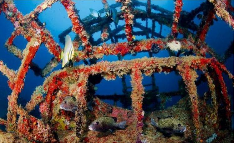 人工鱼礁 - 快懂百科